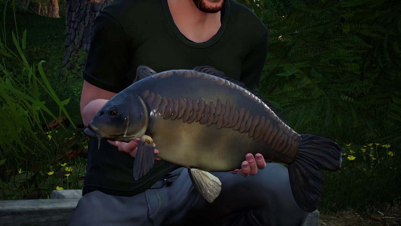 Euro Fishing,breme,carpe,tanche - YouTube