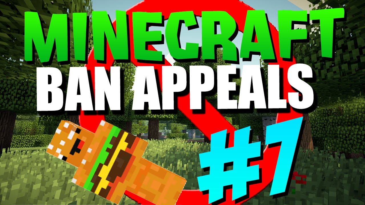 Minecraft Ban Appeals Episode #7 | Too Hungry to Hack - YouTube