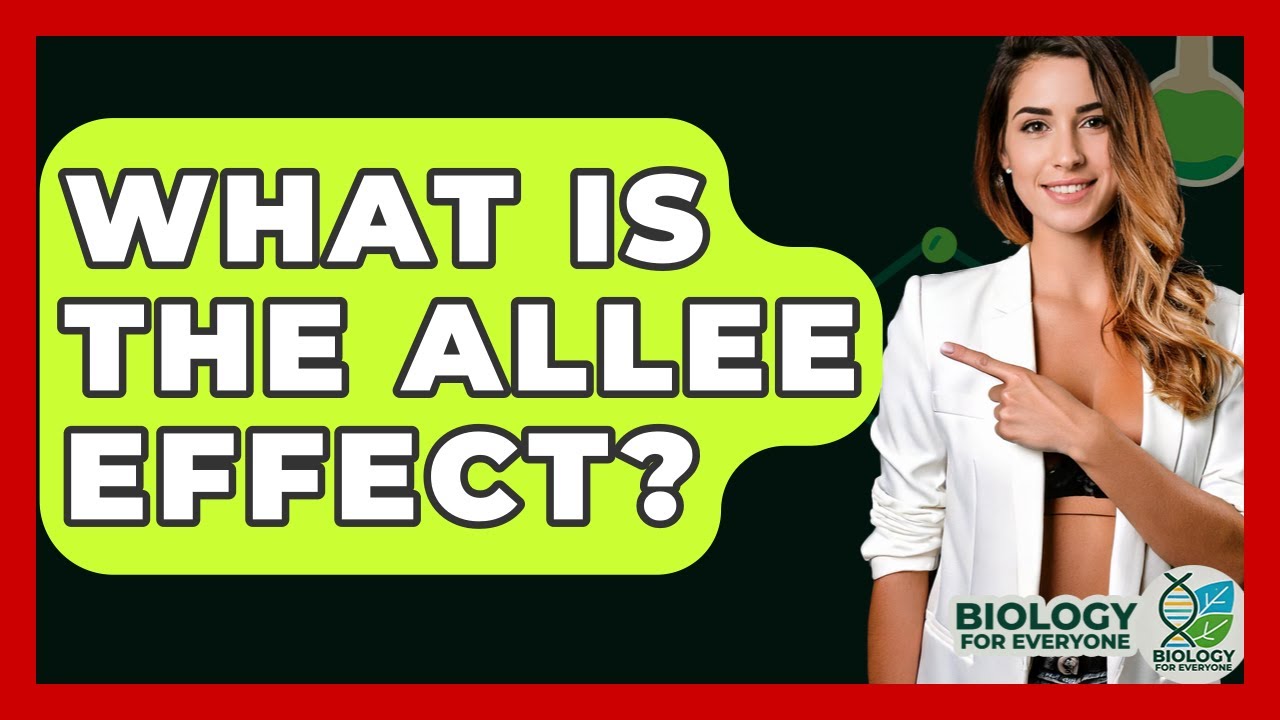 What Is The Allee Effect? - Biology For Everyone - YouTube