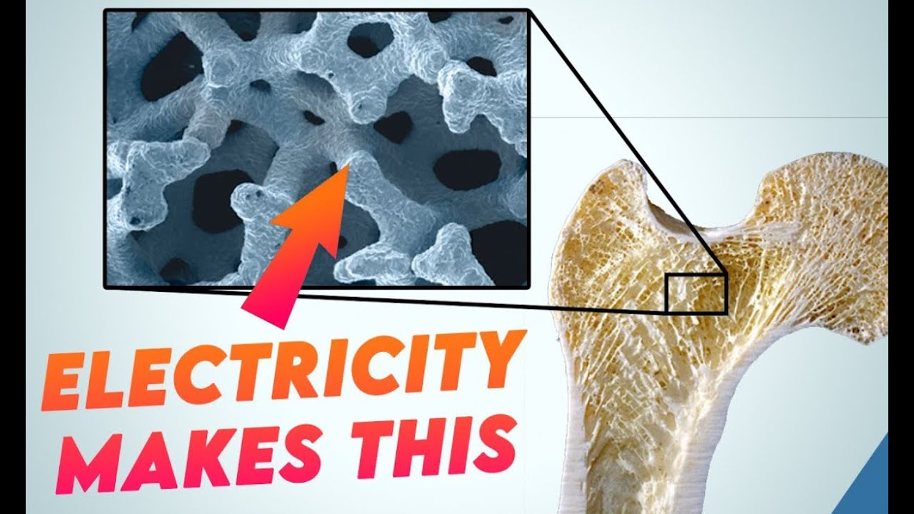 your BONES are ELECTRIC ?? - YouTube
