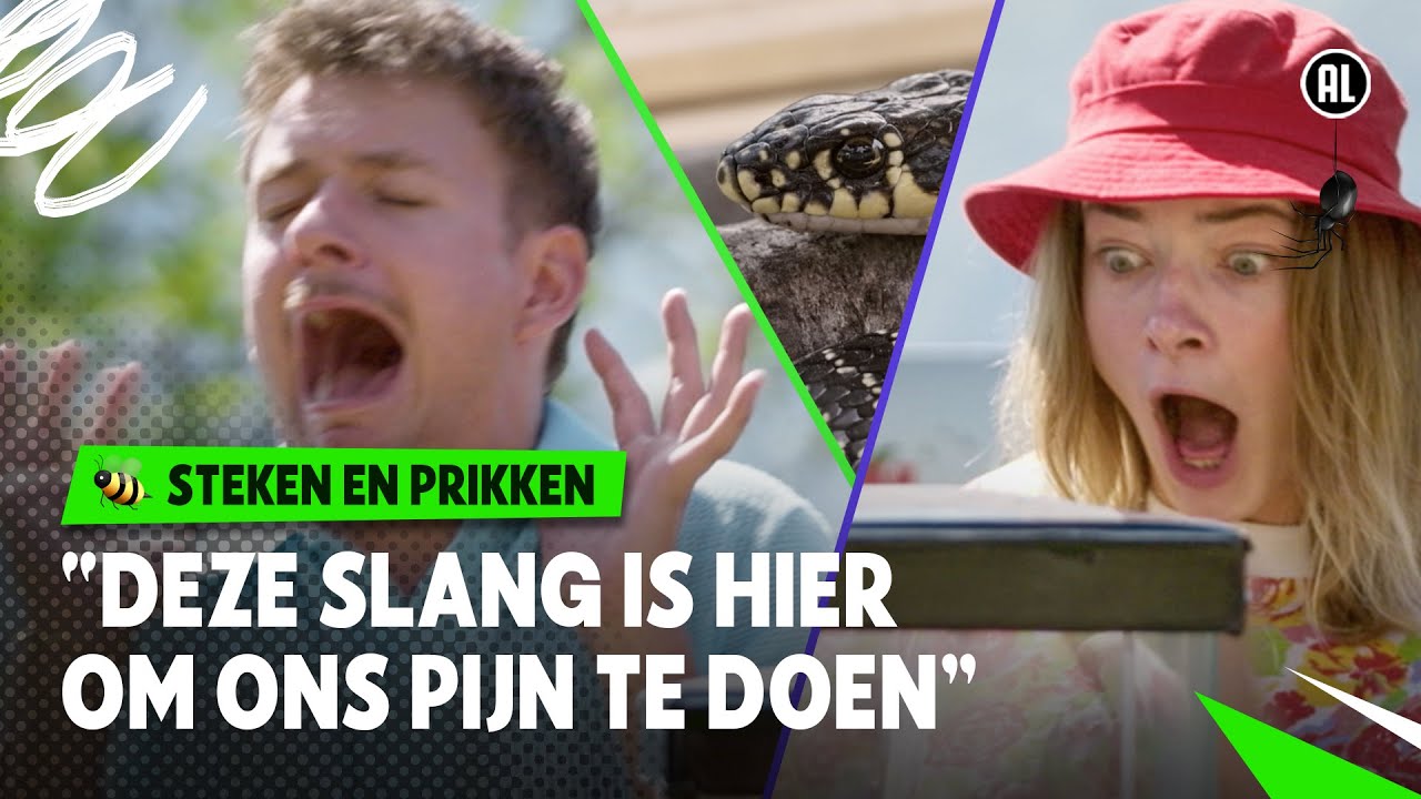 GEBETEN WORDEN DOOR AGRESSIEVE SLANG GAAT MIS!! 🐍🚑 | Steken en Prikken ...