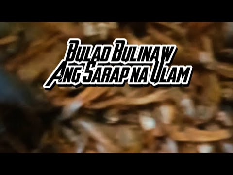 BULAD BULINAW ( COOKING ) #darlingmixvlog - YouTube