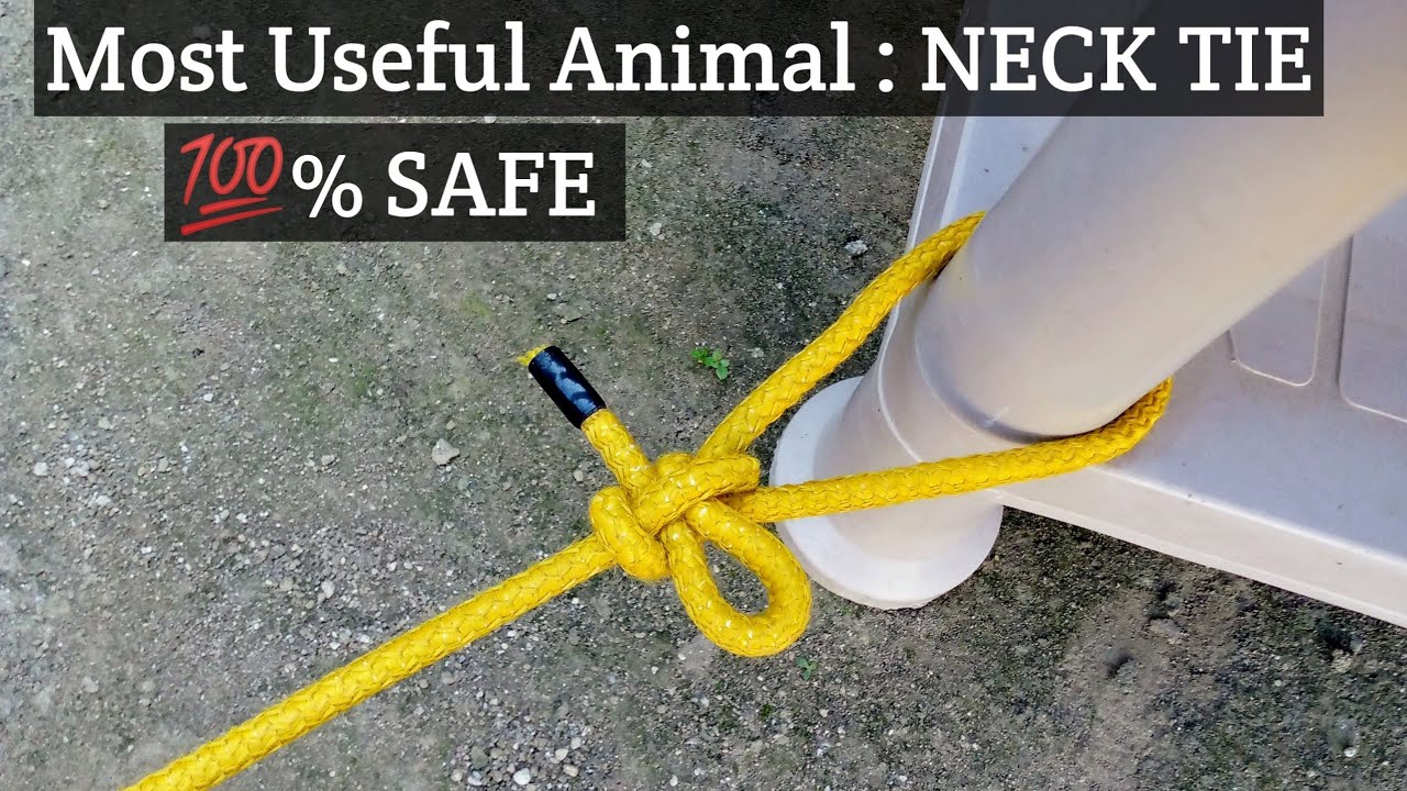 How to tie a SMART TIE KNOT #how #knots @sajjad12455 - YouTube