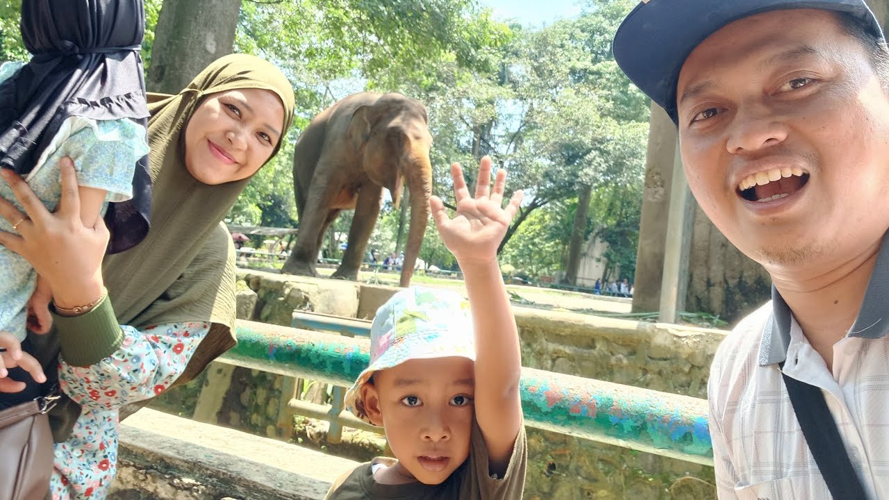 Rashya dan Ruma Pertama Kali Ke Kebun Binatang Ragunan - YouTube
