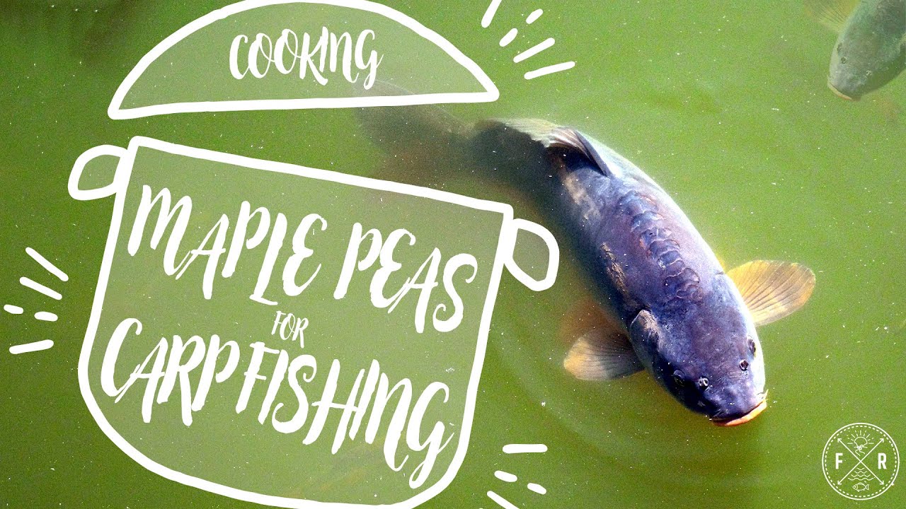 How I prepare and cook maple peas for coarse – carp fishing - YouTube