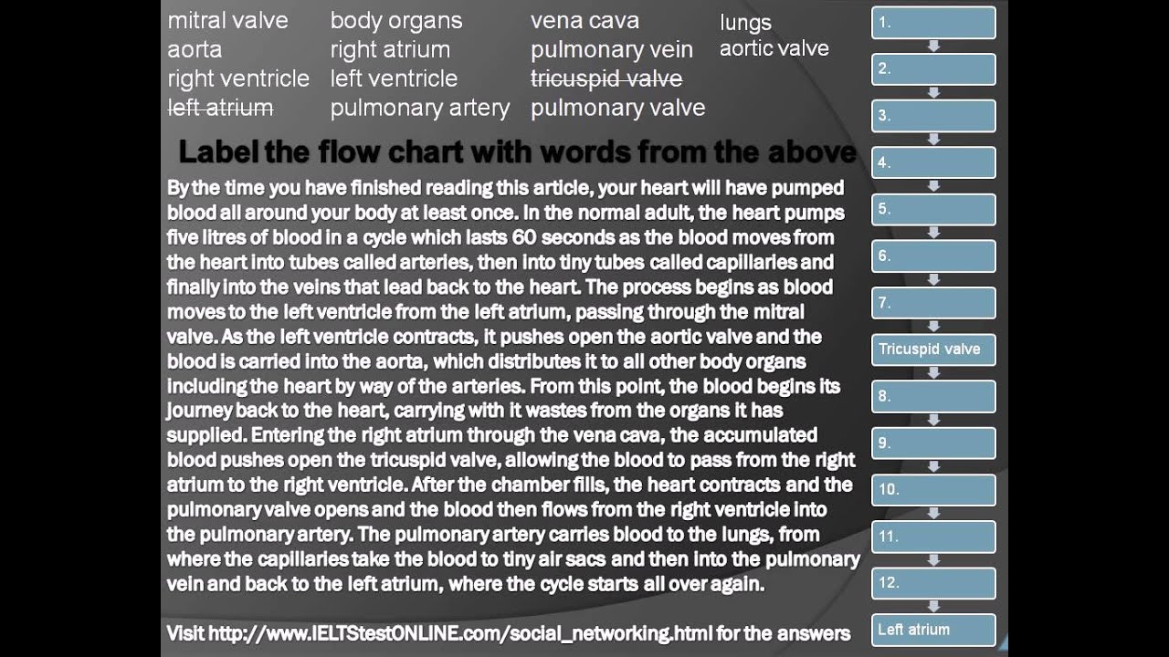 IELTS reading - labelling a flowchart - YouTube