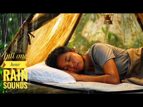 Sleeping in the Rain – 1 Hour of Relaxing Rain Sounds in a Cozy Tent ...