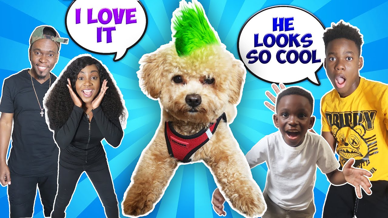 OUR NEW DOG GOT A MAKEOVER! **ADORABLE** - YouTube
