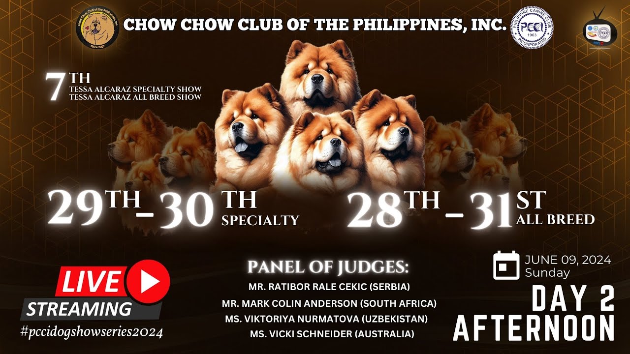 CHOW CHOW CLUB OF THE PHILIPPINES INC. - YouTube