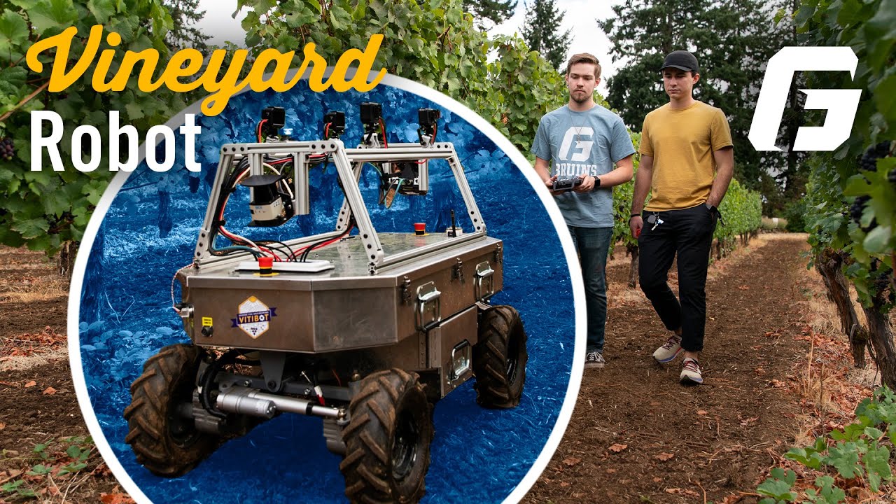 Meet the Vitibot: A Game-Changing Vineyard Robot | George Fox ...