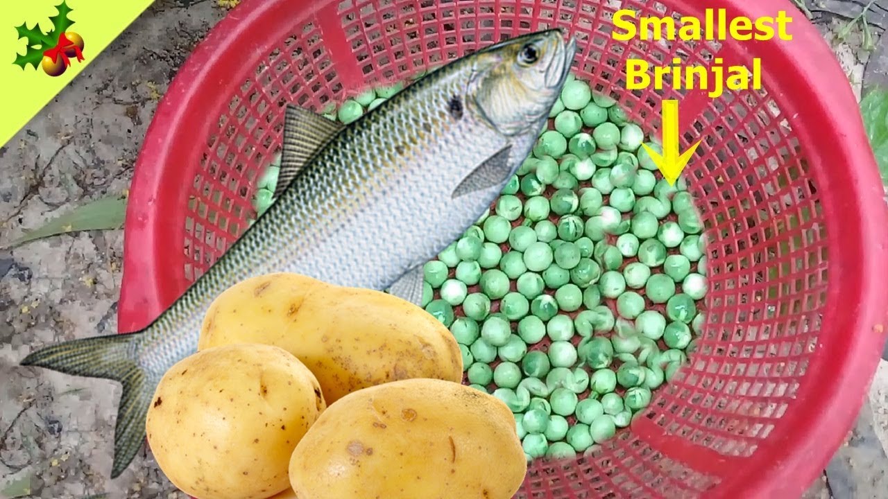 Village Food Factory Youtube Small Brinjal/Eggplant Recipe With Fish ...