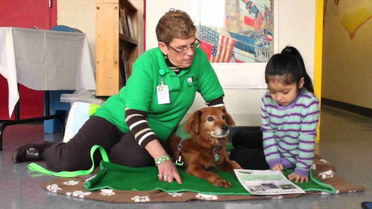 PAWS for People (Corporate Video Production) - YouTube