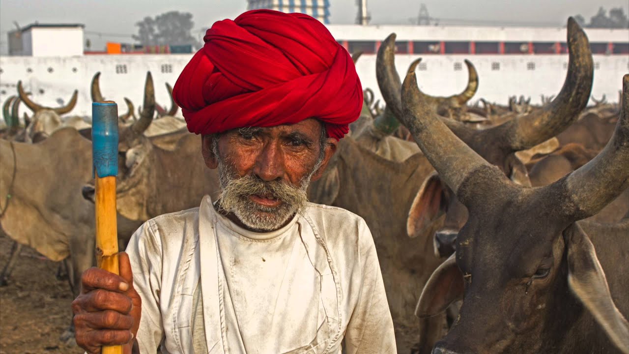 Travel & Work - A Day in Life of Raikas - YouTube