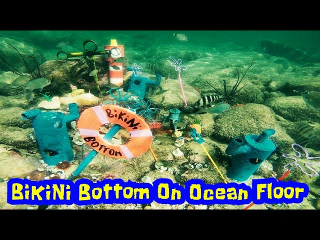 Bikini Bottom In Real Life