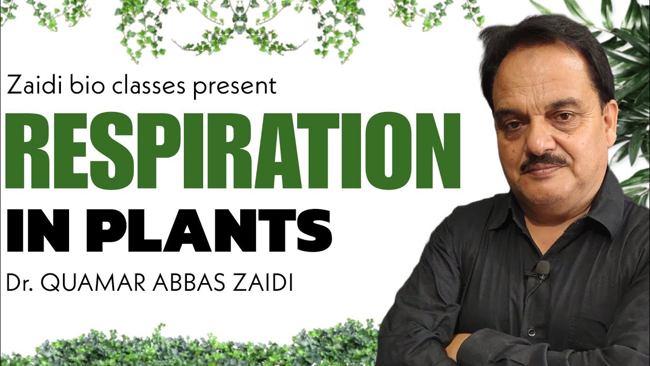 RESPIRATION in plants l NEET BIOLOGY l Dr. Quamar Abbas Zaidi #neet # ...