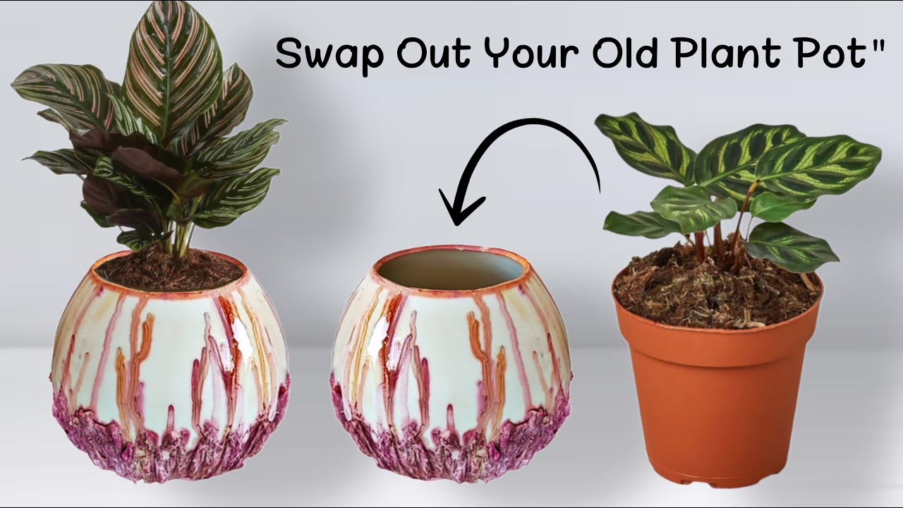 Crafting Beautiful Cement Planters: DIY Flower Vases and Tree Pots ...