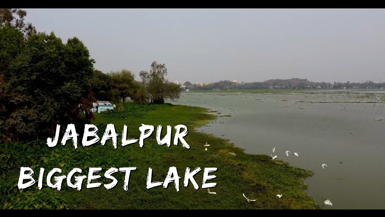 जबलपुर का सबसे बड़ा तालाब | JABALPUR KA SABSE BADA TALAB ...