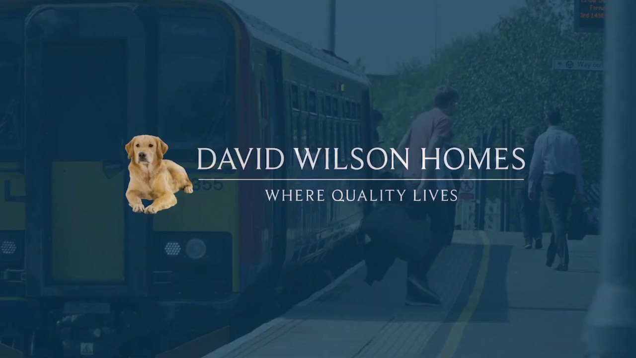 Introducing David Wilson Homes at Doveridge Park - YouTube