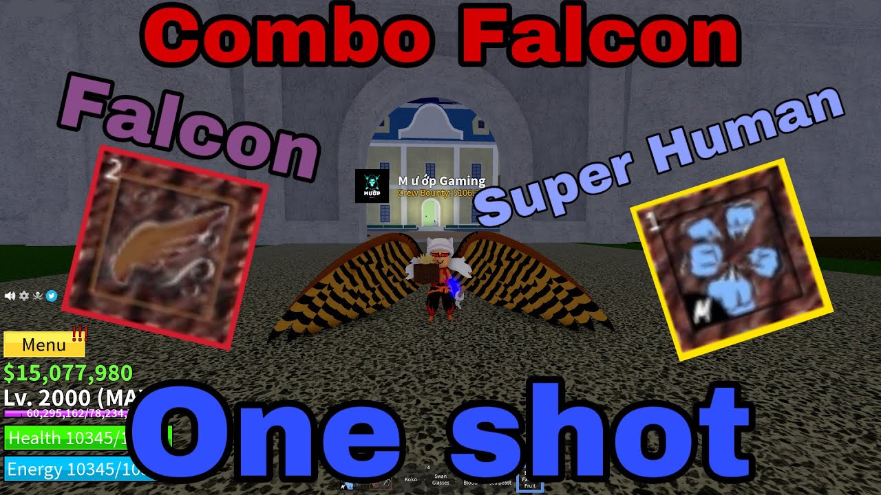 Roblox - Blox Fruits | Cách Combo Falcon cực dễ làm - YouTube
