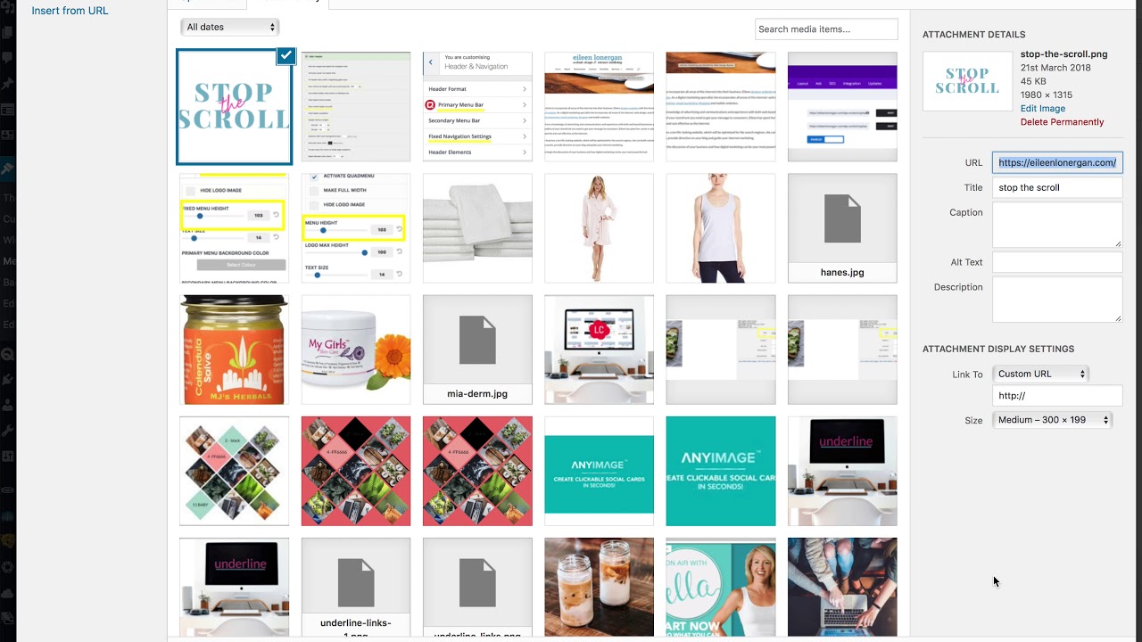 Creating a Carousel Mega Menu with the QuadMenu Plugin for Divi - YouTube
