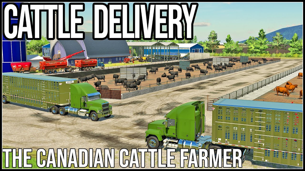 CATTLE DELIVERY - The Canadian Cattle Farmer - Episode 25 - YouTube