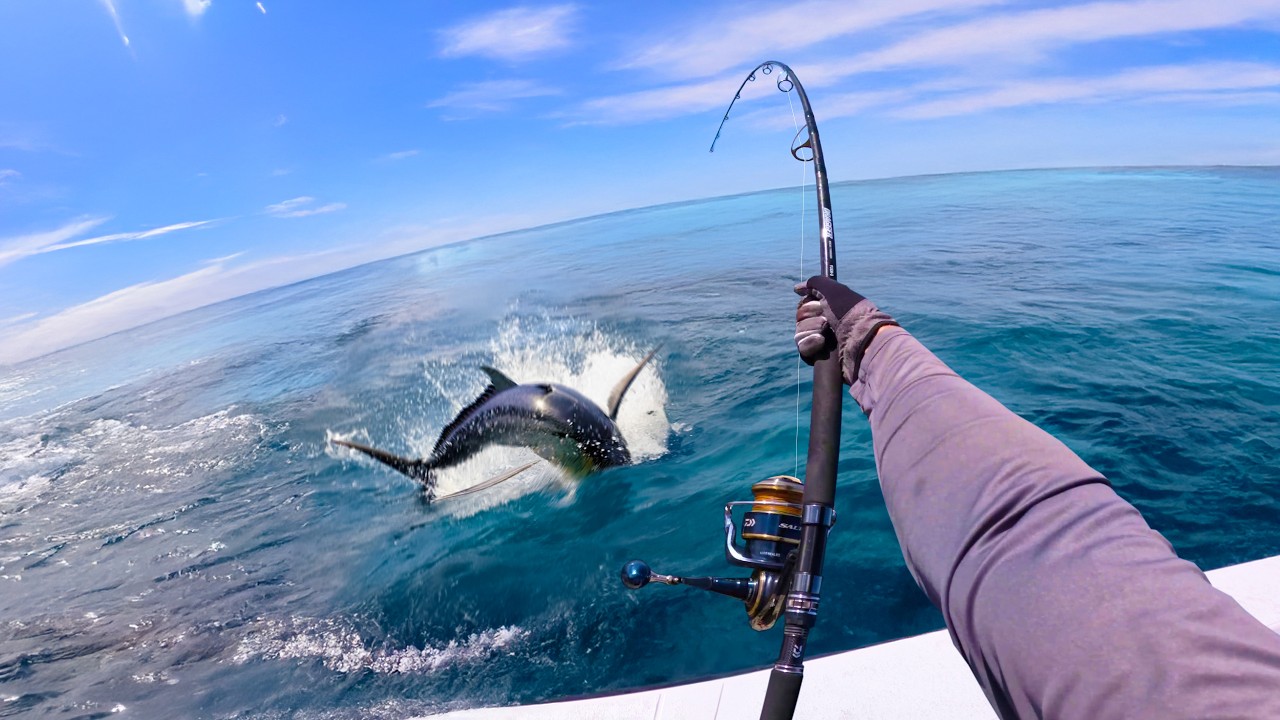 The Best Fishing Trip of the Year (No Boundaries Oman) - YouTube