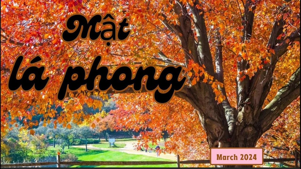 Maple Syrup Festival 2024 - YouTube