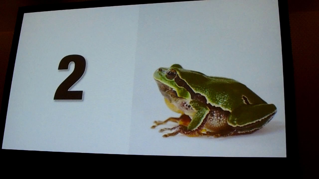 Orizaola: Responses to chronic exposure to ionizing radiation in ...