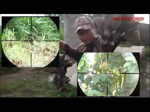 Hanting sore hari nugu magrip - YouTube