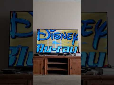 Logan's Little Einsteins Animal Expedition 2010 DVD Menu Walkthrough.