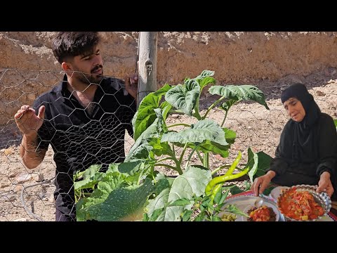 🌾 Rural Life Challenges | Saleh’s Family Joy, Garden Watering & A Heartfelt Noon Feast 🍃✨👨‍👩‍👦