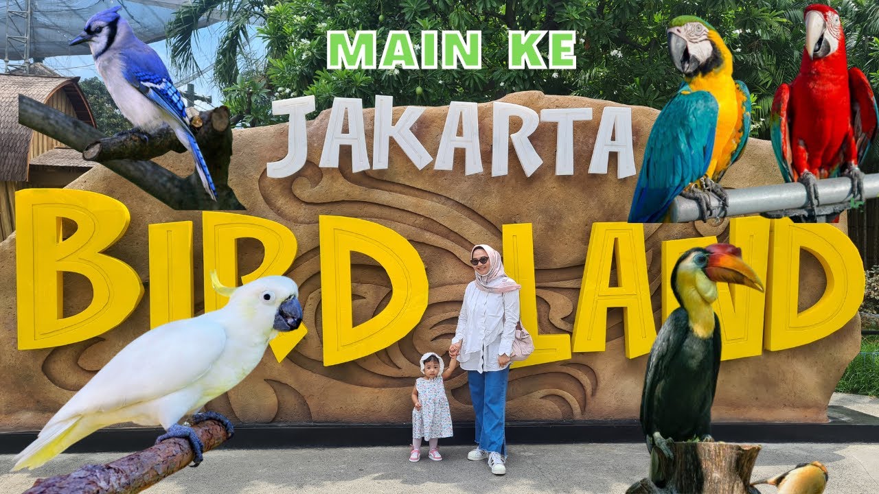 BANYAK BURUNG CANTIK DI BIRD LAND ANCOL - WISATA BARU LIBURAN KELUARGA ...