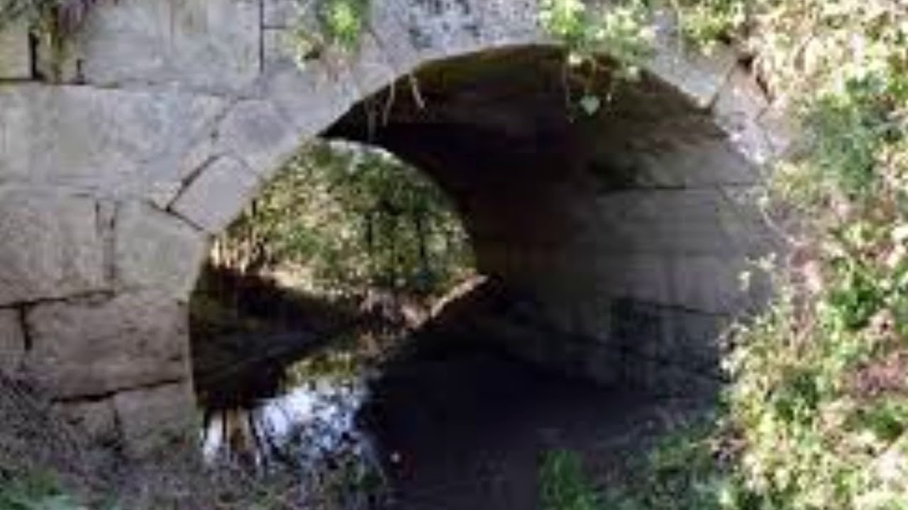 'Cutty Dyer' by Jane Jakeman - YouTube