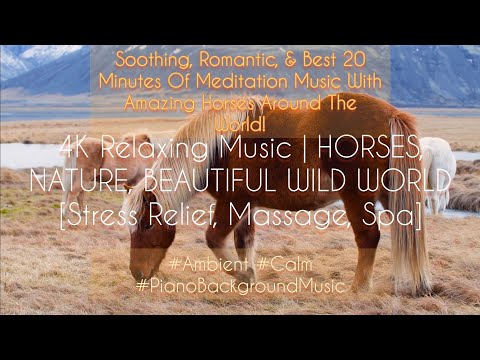 SOOTHING ROMANTIC | BEST 20 MINUTES OF MEDITATION MUSIC WITH AMAZING HORSE VISUAL [4K RELAX MUSIC] 🌞