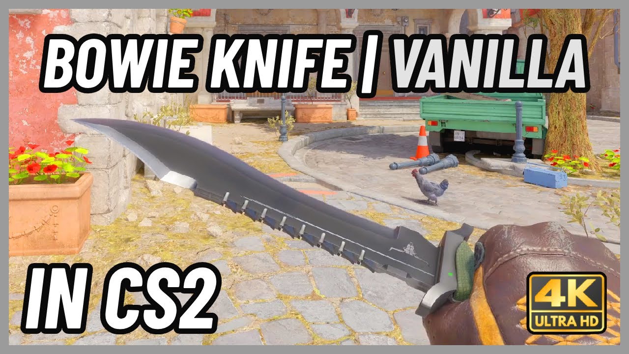 CS2 Bowie Knife Vanilla | CS2 Knife In-Game Showcase [4K] - YouTube