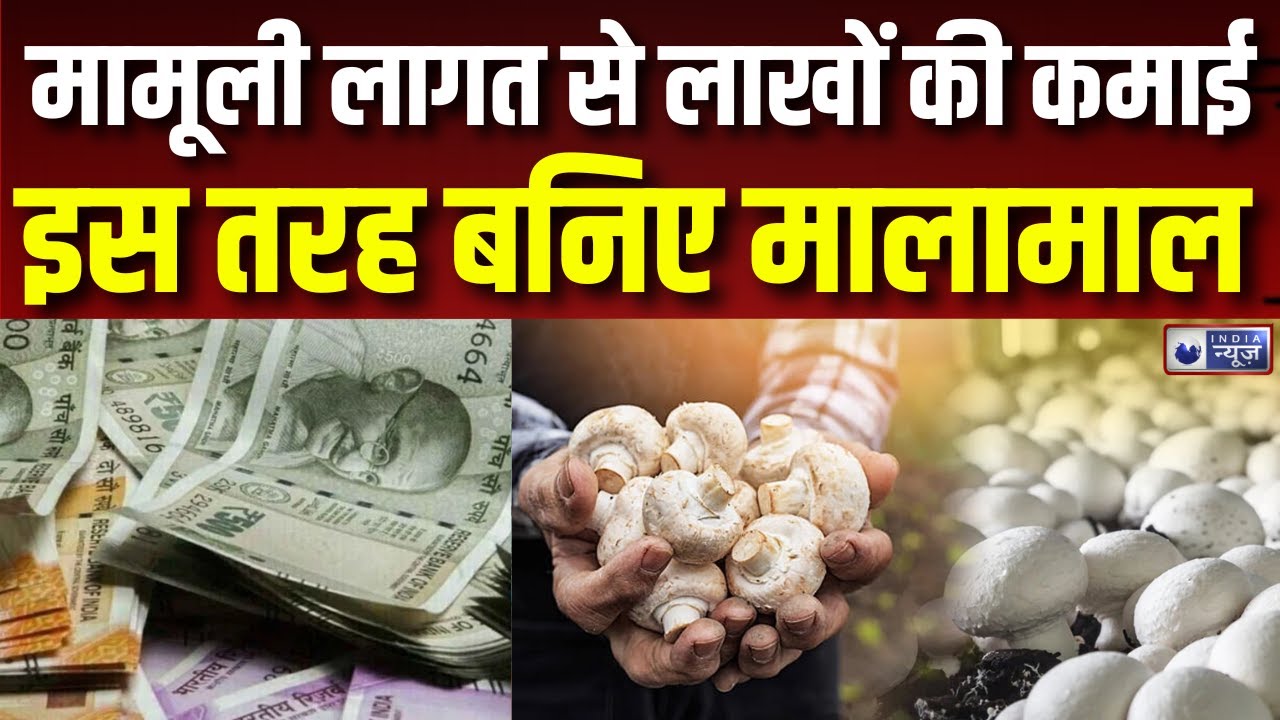 Mushroom Farming: मशरूम की खेती से करें लाखों की कमाई, जानें पूरी ...