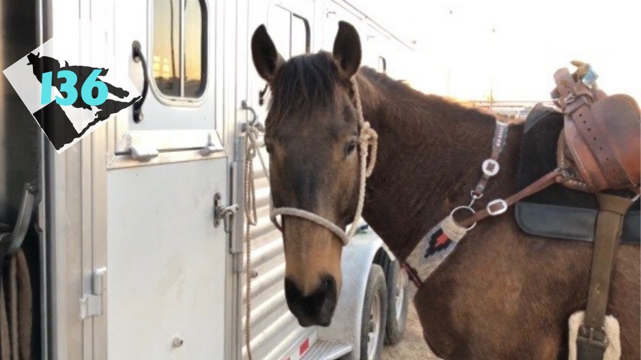 Barrel Racer Life - Our First Pro Rodeo! - YouTube
