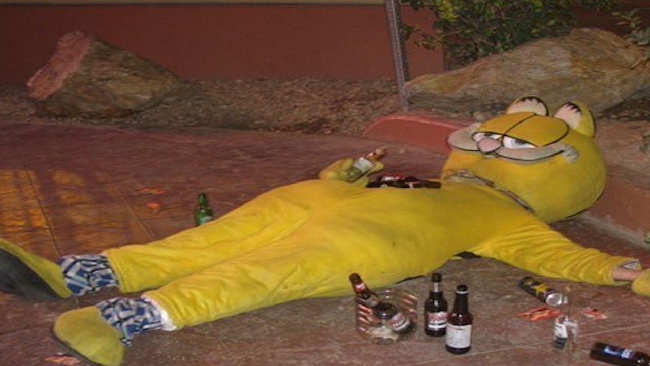 Drunk Driving w/ Garfield - YouTube