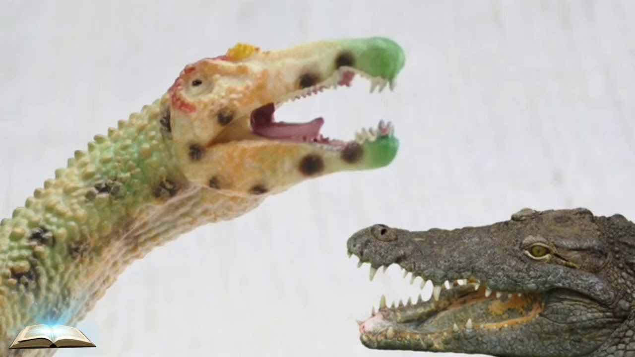 T-REX AND FRIENDS - YouTube