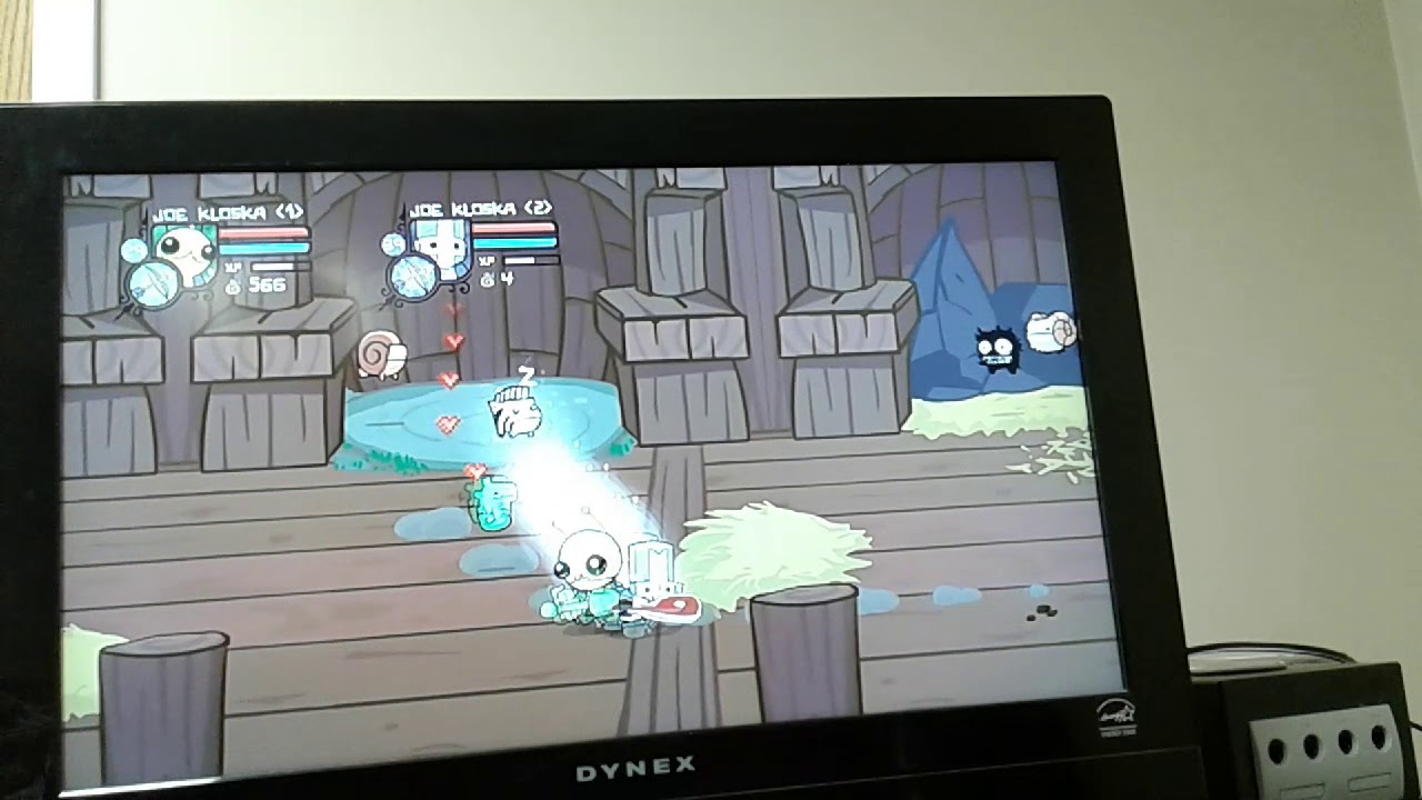 Castle crashers Insane mode pet guide - YouTube