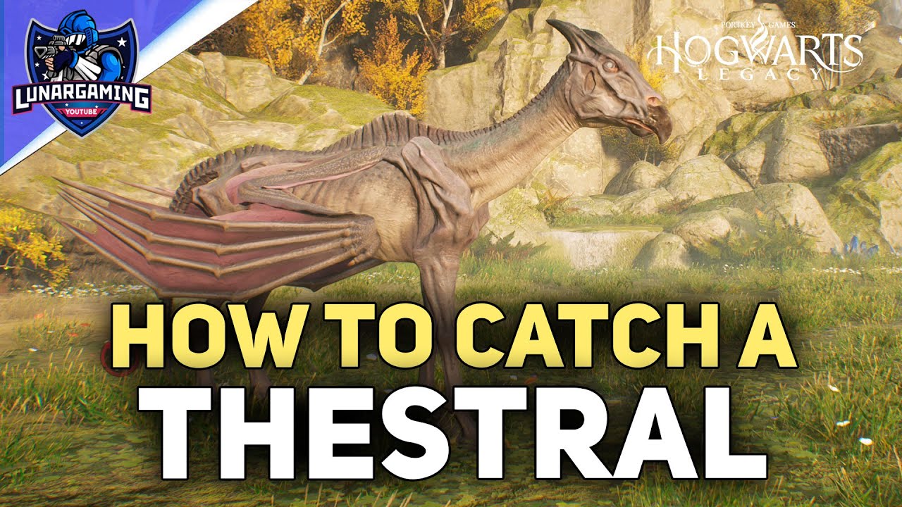 How To Catch a Thestral Location - Hogwarts Legacy - YouTube