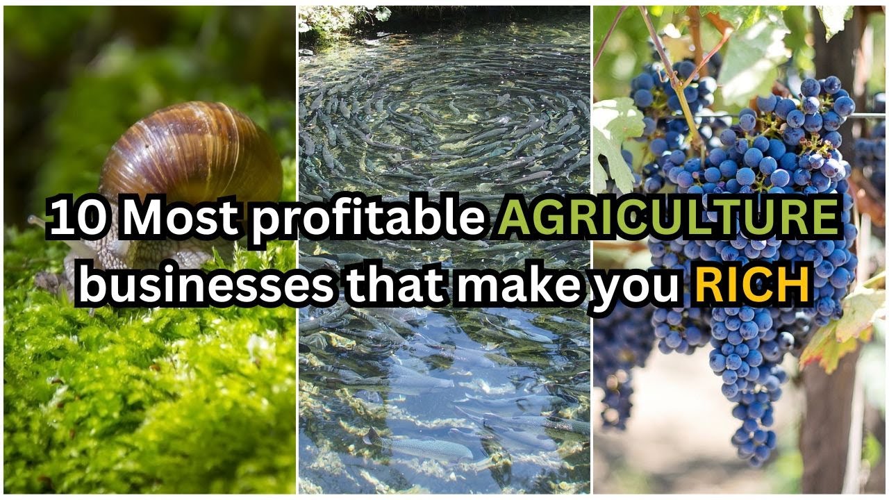 10 Most profitable AGRICULTURE businesses that make you RICH | Most ...