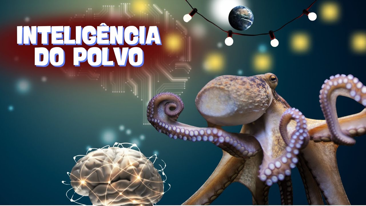 POLVO - 10 CURIOSIDADES SOBRE O ANIMAL MAIS INTELIGENTE DO PLANETA ...