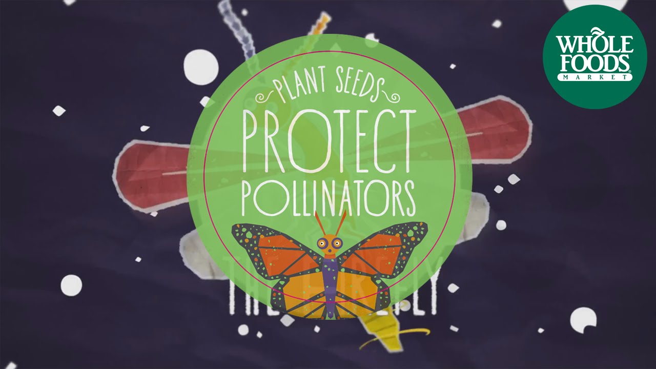 Meet the Firefly I Protect Pollinators | Whole Foods Market - YouTube