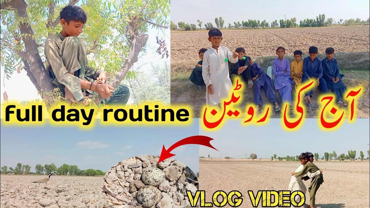Pakistan local village | pakistani daily vloggers | jameel s vlog - YouTube