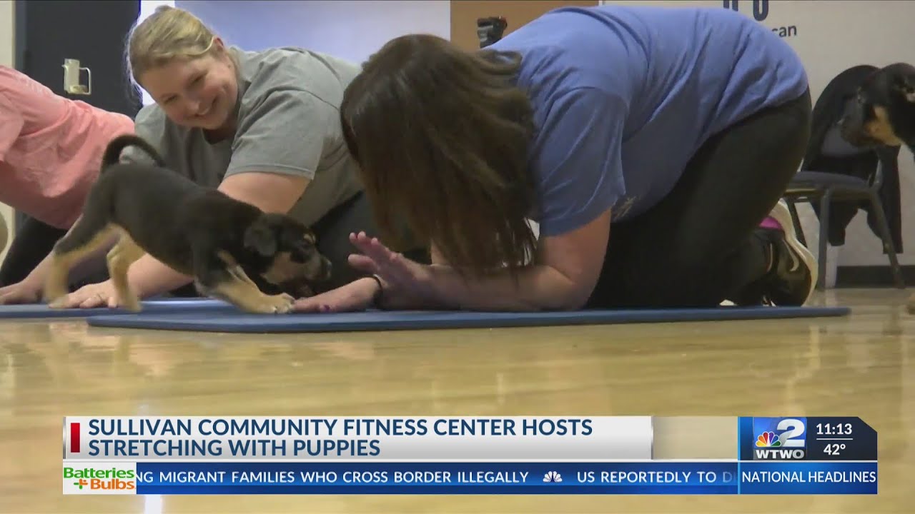 Sullivan Community Fitness Center hosts stretching with puppies - YouTube