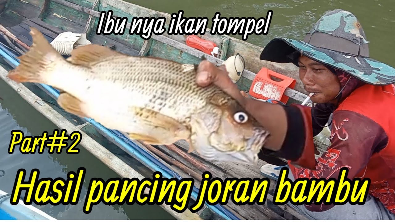 JORAN BAMBU MELENGKUNG PART#2//HASIL PANCINGAN KAKAP//NELAYAN PANTAI ...