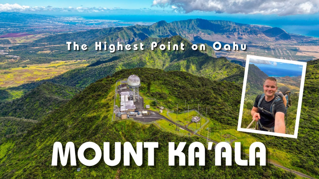 Hiking Mount Ka’ala | The Highest Point on Oahu, Hawaii | Dean Family ...