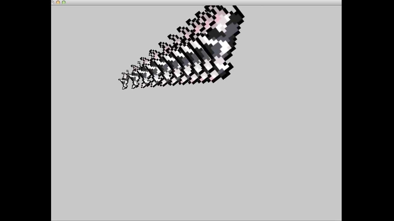 openFramework practice_rotate cow cow cowwwww - YouTube