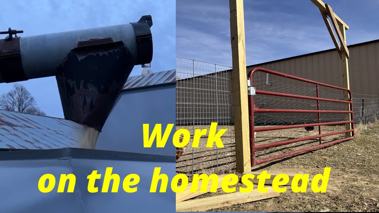 Mounting a farm gate and auguring 5000 lb of chicken feed into our bin ...
